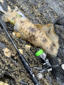 23カリスタ 76ML/TJ インプレ【ヤマガブランクス】 | Teru Lab